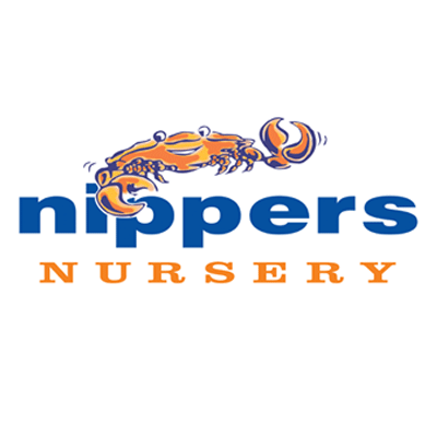 Childcare in a fun and safe environment - nippers Nursery